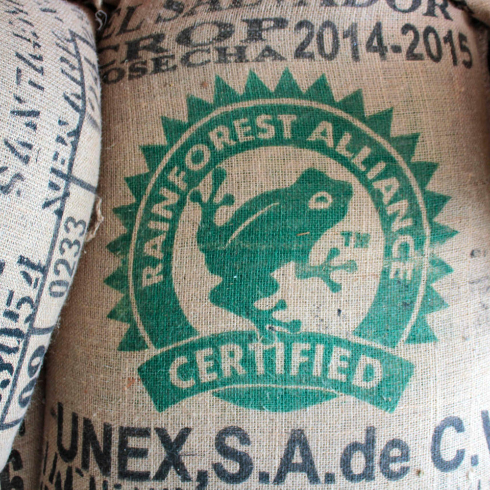 The Coffee Process: From Seed to Cup & Trading Post Coffee Roasters